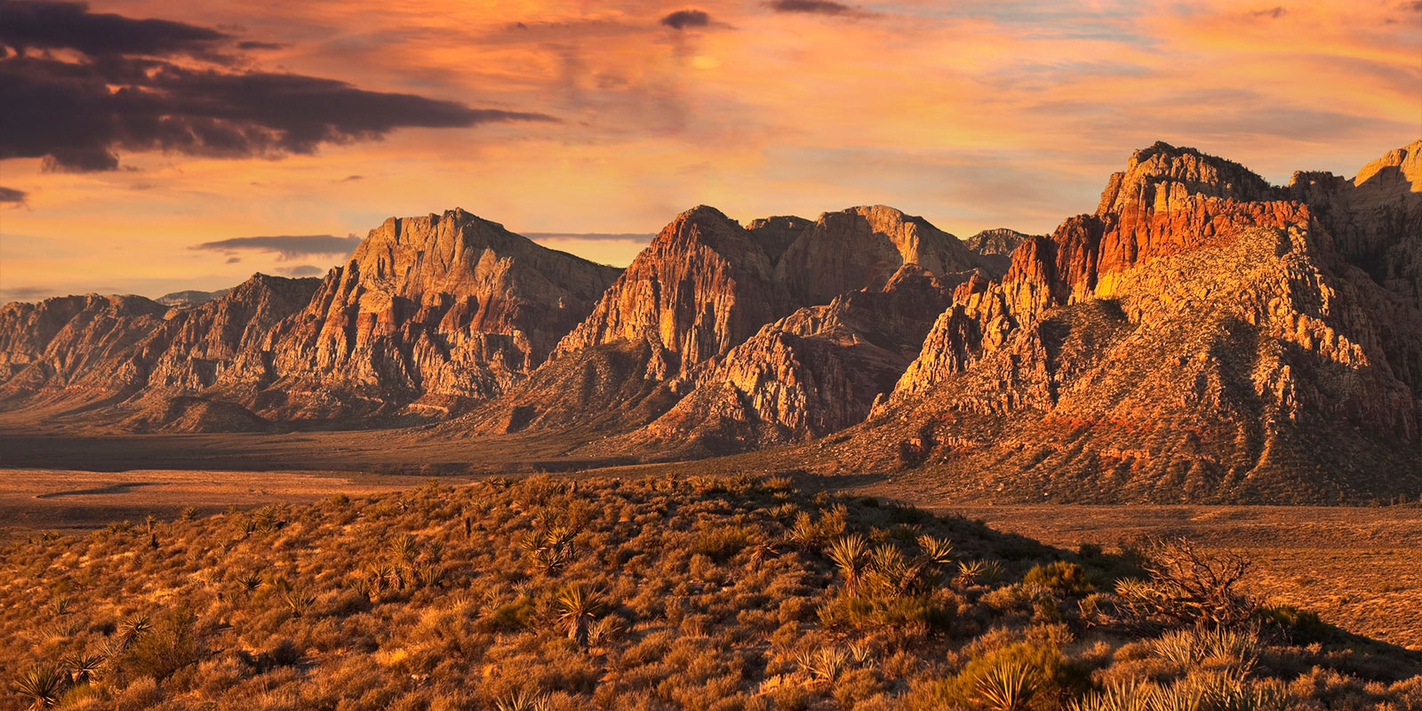 Todays Realty Inc. | Donna A. Ruthe | Las Vegas